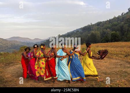 Women performing Dhimsa folk dance, Andhra Pradesh, India, Asia Stock ...