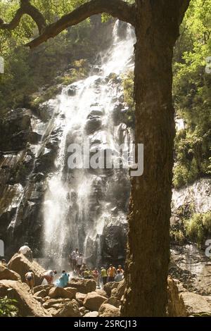 Bee waterfall, Pachmarhi, Madhya Pradesh, India, Asia Stock Photo - Alamy