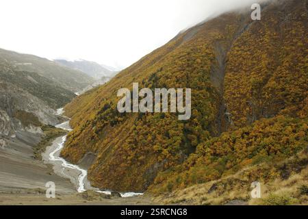 Thilicho lake, Khangsar, Manang, Nepal, Asia Stock Photo - Alamy