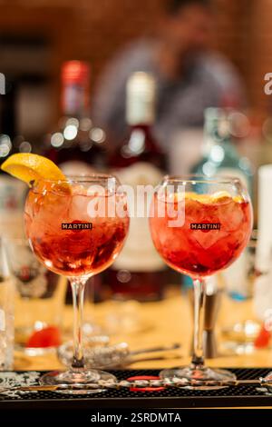 Martini House is not only the place where the Vermouth Martini was born ...