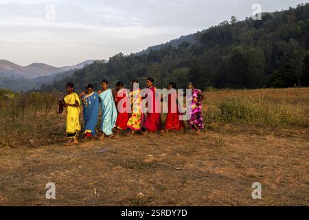 Women performing Dhimsa folk dance, Andhra Pradesh, India, Asia Stock ...