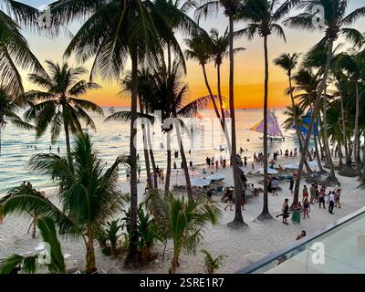 fiery sunset on beach with palm leaf in tonga Stock Photo - Alamy
