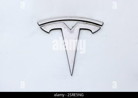 Elektromobilität auf Deutschlands Straßen. Das Logo der Marke TESLA von ...