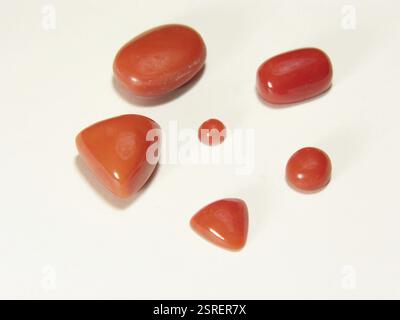 Different shape of coral munga gems according to astrology represents ...