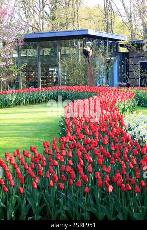Lisse, Netherlands – April 21, 2018: Keukenhof gardens with beautiful ...