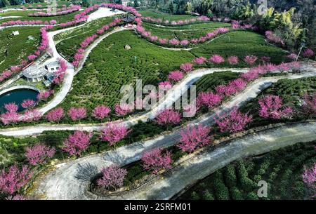 Aerial photo shows the spring scenery of Nanhu Park in Shenyang City ...