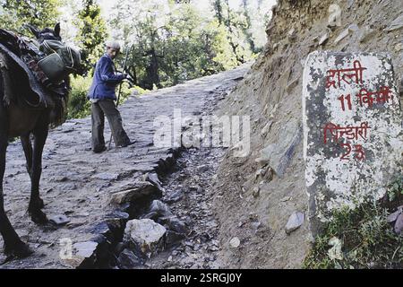 Man walking with horse at pindari sign, India, Asia Stock Photo - Alamy