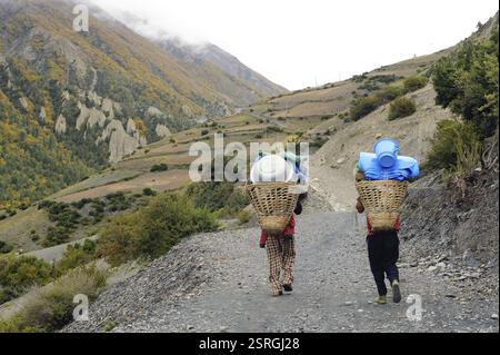Porter carrying load in khangsar khola manang, Nepal, Asia Stock Photo ...