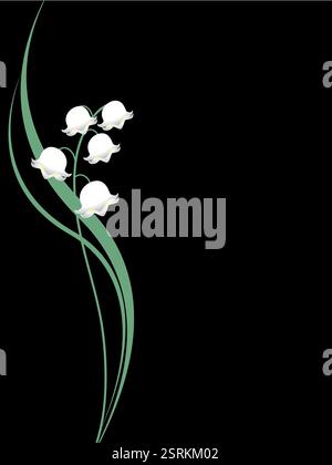 beauty flowers nature decoration black background vector illustration ...