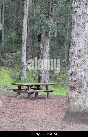 Garden dining bench, Perth, Australia, Oceania Stock Photo - Alamy