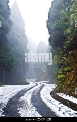 road in the woods between snow covered trees, mountain road, valles ...