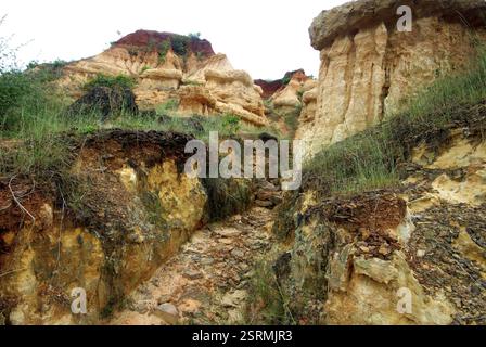 Eroded river bank shows coloration of red soil, Medinipur, West Bengal ...