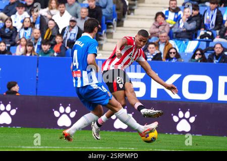 16th February 2025; RCDE Stadium, Cornella, Spain, Spanish La Liga ...