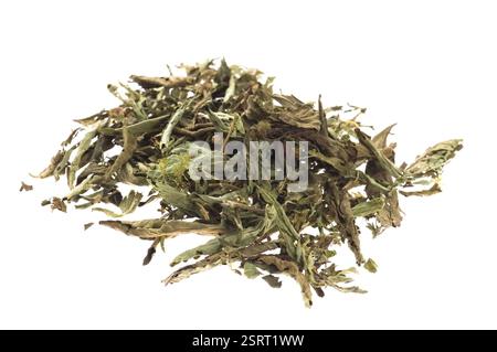 Dried Stevia Rebaudiana - natural sweetener isolated on white Stock ...
