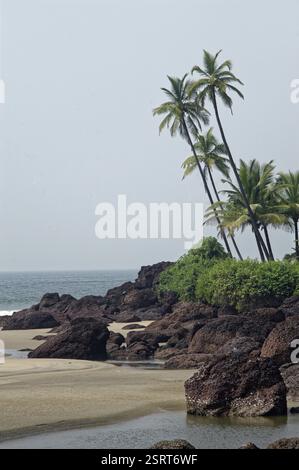 Khavane beach, sindhudurg, Maharashtra, India, Asia Stock Photo - Alamy