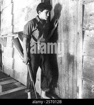 LOUISIANA STORY JOSEPH BOUDREAUX Date: 1948 Stock Photo - Alamy