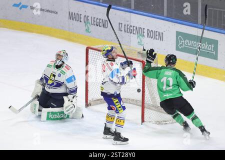 Ljubljana, Slovenia. 16th Feb, 2025. Nik Simsic (Front) of Olimpija ...