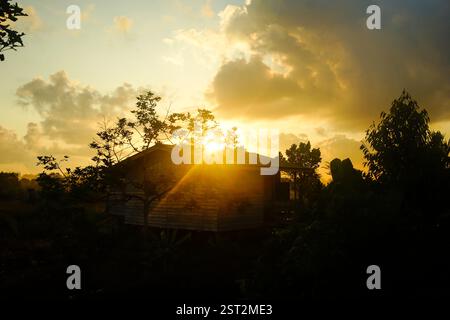 traditional transmigrant house in northern Kalimantan Stock Photo - Alamy