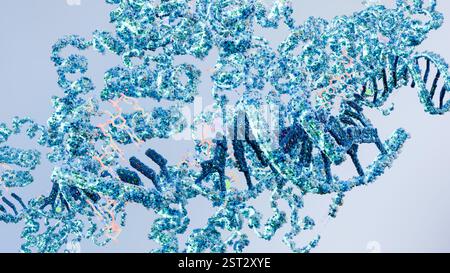 Molecular structure of human antigen protein p53 complexed with DNA ...