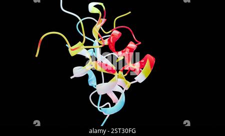 Molecular structure of human Insulin like growth factors, biological ...