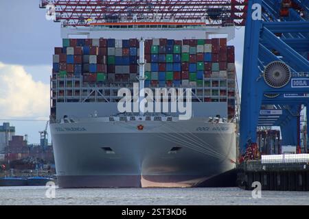 Containerfrachter im Hamburger Hafen. *** Container freighter in the ...