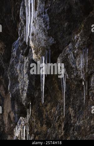 Icicles hanging over rock in the forest winter Stock Photo - Alamy