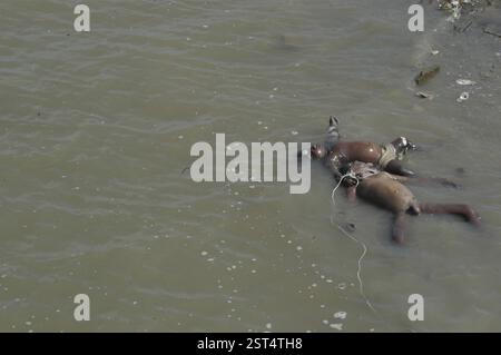Damage by Tsunami earthquake on sea floor Nagapattinum Velankanni Tamil ...