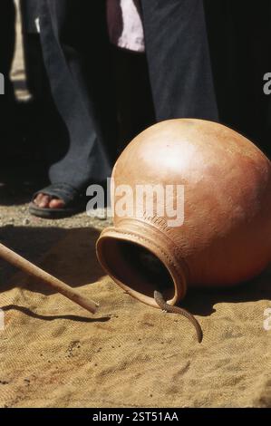 Nagapanchami festival of snake, cobra story, battis shirala ...