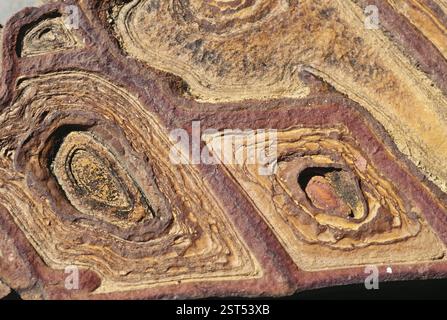 Stone form, kutch, gujarat, india Stock Photo - Alamy