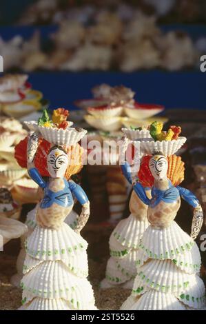 Animals: Conch shells for sale Stock Photo - Alamy