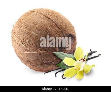Coconut, vanilla pods and flower isolated on white Stock Photo - Alamy