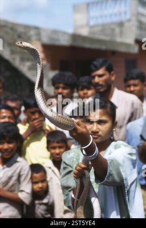 Nagapanchami festival of snake, cobra story, battis shirala ...