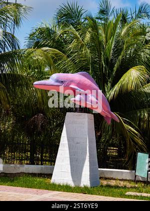 Leticia, Colombia - Dec 10, 2022: The man carrying a huge fish in the ...