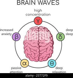 Human Brain Waves Diagram / Chart / Illustration in Black and White ...