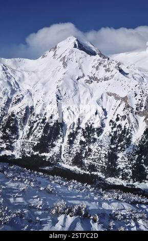 A beautiful shot of mountain peaks covered with forests above the ...