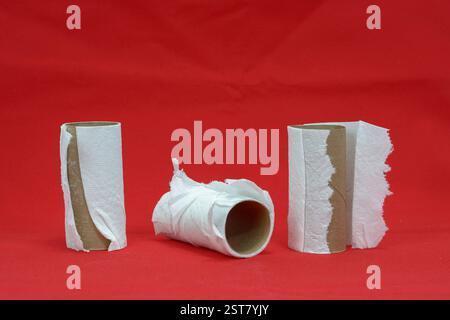 Toilet paper rolls on red background Stock Photo - Alamy