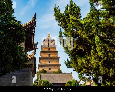 Wild Goose Pagoda, Xian, China Stock Photo - Alamy