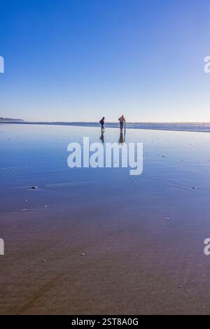 Woman with clam gun harvesting Pacific Razor Clams on Mocrocks Beach ...