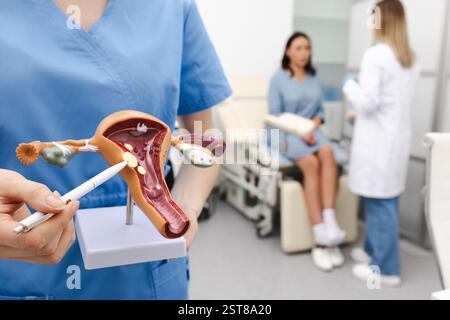Uterine fibroid, myoma. Gynecologist pointing uterine leiomyomas on ...