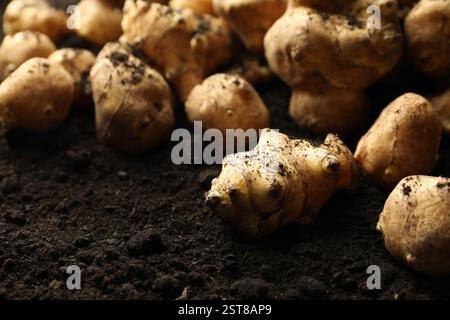 Many raw Jerusalem artichokes on soil, top view. Root vegetable Stock ...