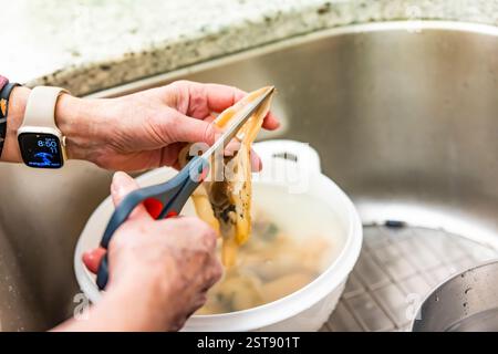 Cleaning Pacific Razor Clams harvested on Mocrocks Beach, Pacific Ocean ...