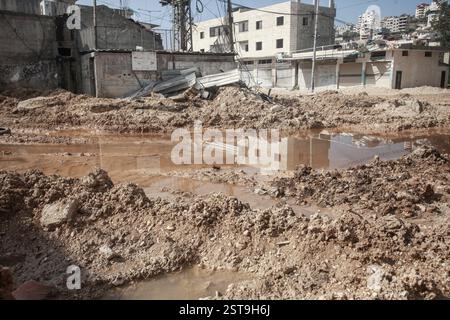 Tulkarm, Palestine. 17th Feb, 2025. A cat is seen through a destroyed ...