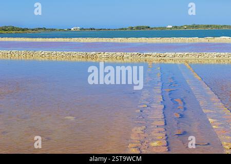 Salt pans, Ses Salines, Formentera, Balearic Islands, Spain Stock Photo ...