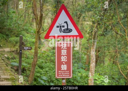 Warnschild, Schlangen, Wespen, Waldgebiet, Chinan National Forest ...