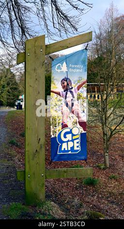 "Go Ape" advertising banner. Grizedale Forest Park, Lake District ...