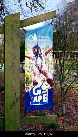 "Go Ape" advertising banner. Grizedale Forest Park, Lake District ...