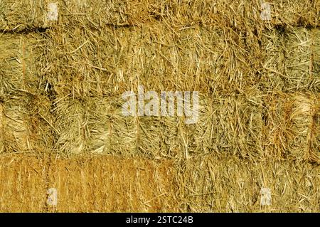 Stacked Straw Hay Bails Stock Photo - Alamy