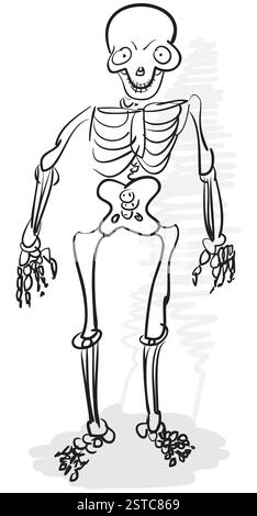 Rough stylized drawing - human skeleton Stock Photo - Alamy