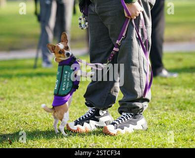 Emily Washington, 39, from Rochester with Tilly, a 2 year-old Chihuahua ...