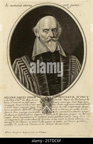 A portrait of a hussar soldier standing, wearing a traditional pelisse ...